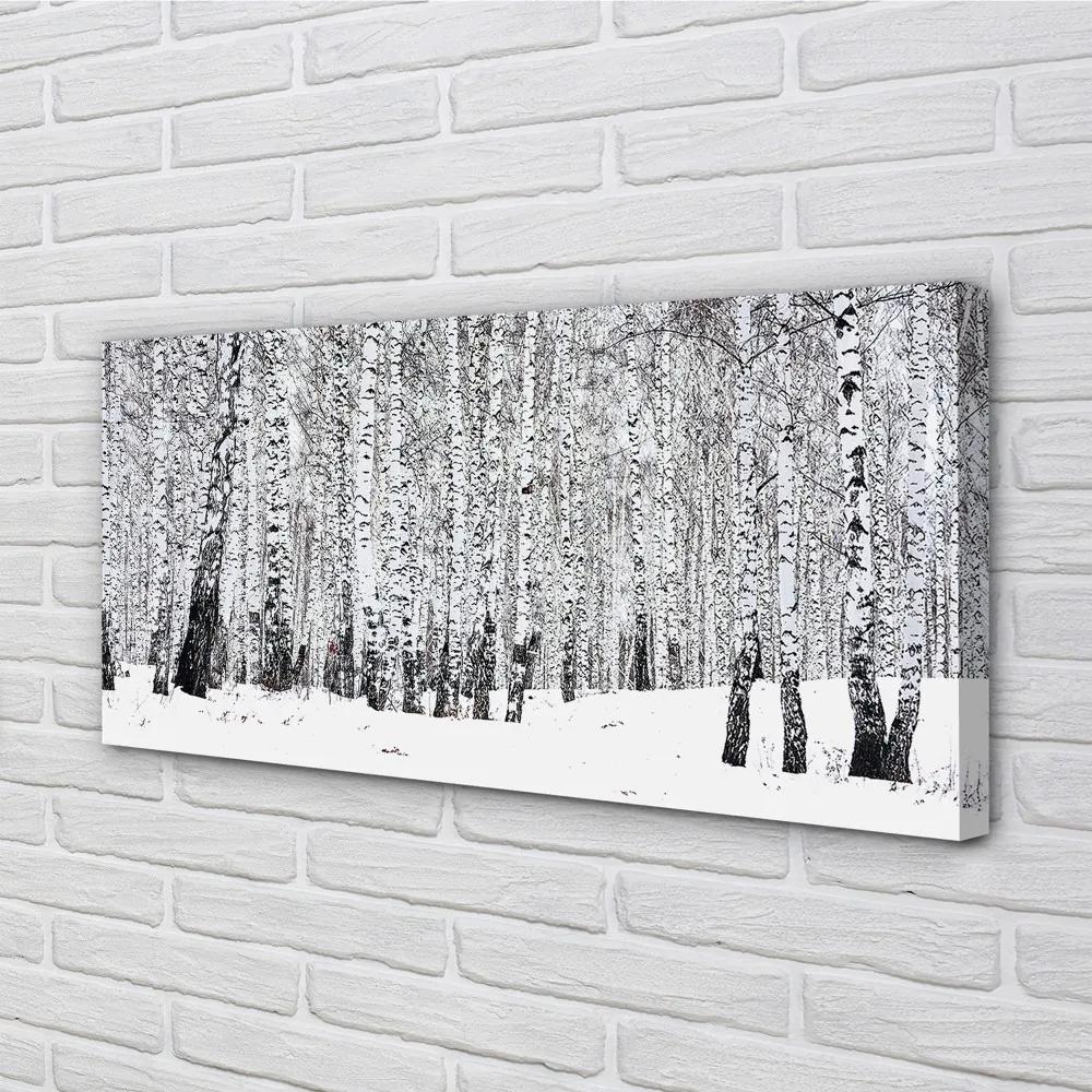 Obrazy na plátně Zimní břízy 120x60 cm