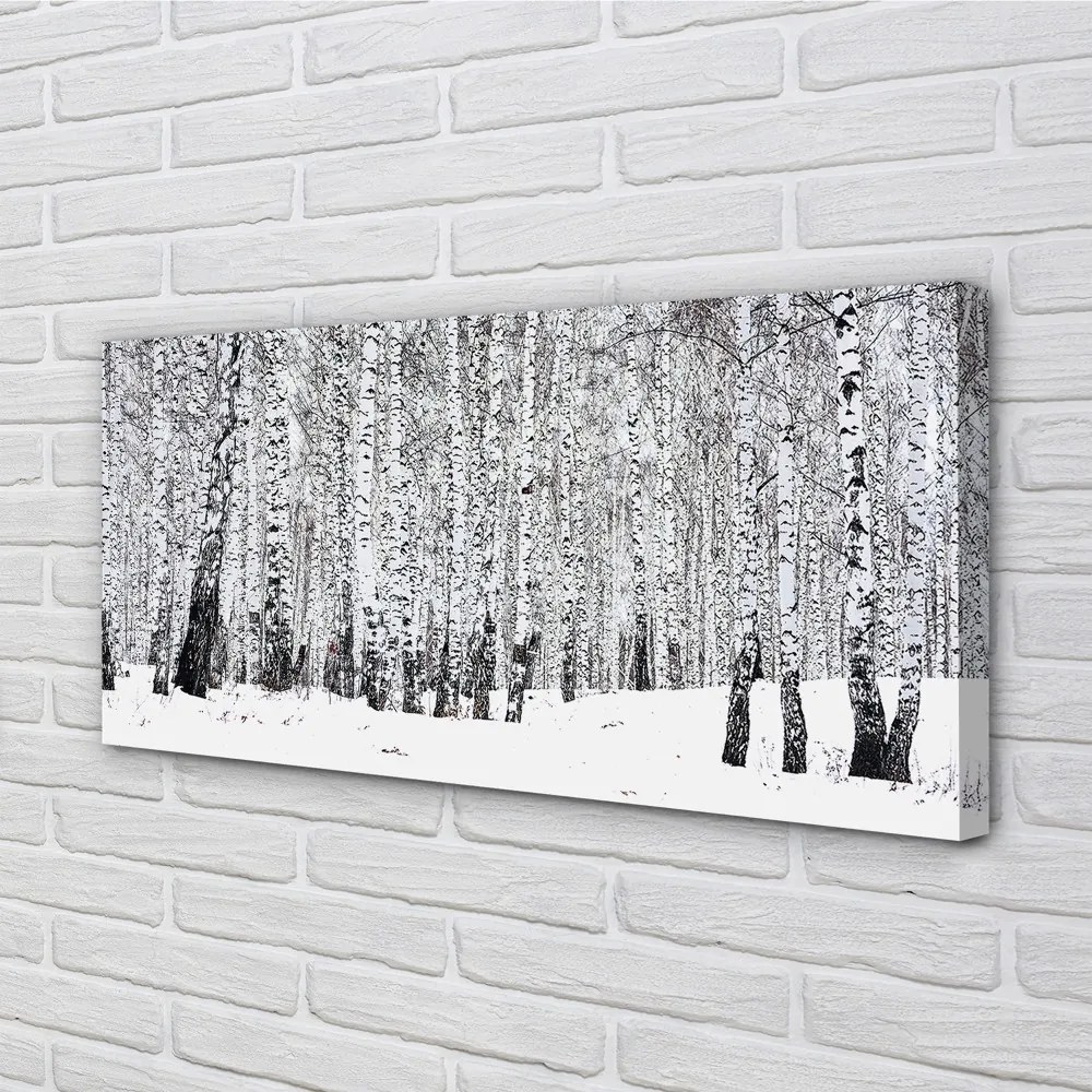 Obrazy na plátně Zimní břízy 120x60 cm