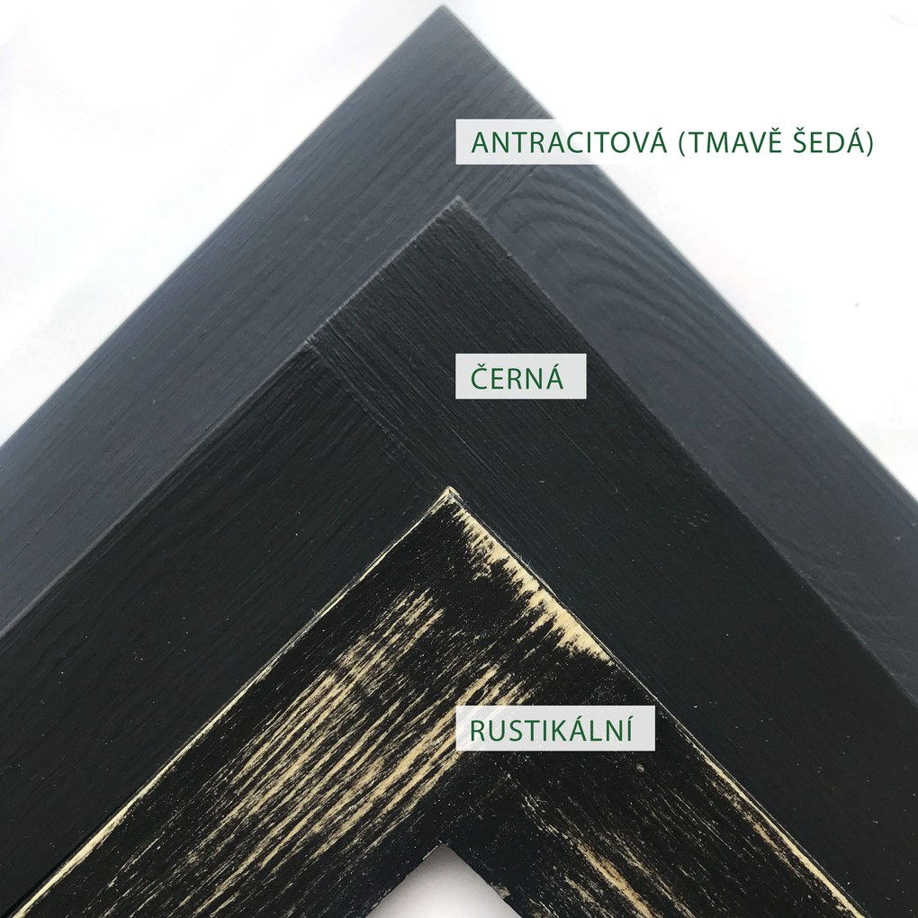 WOODILO Obraz ze stabilizovaného mechu a rostlin 212 Rozměr obrazu: 60x60 cm, Barva rámu: Přírodní (světlé dřevo), Síla rámu (pohledová): 4,5 cm