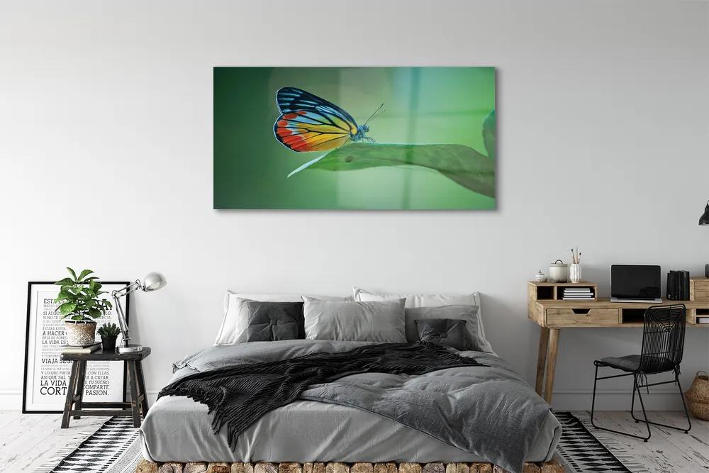 akrylový obraz Barevný motýl křídlo 140x70 cm
