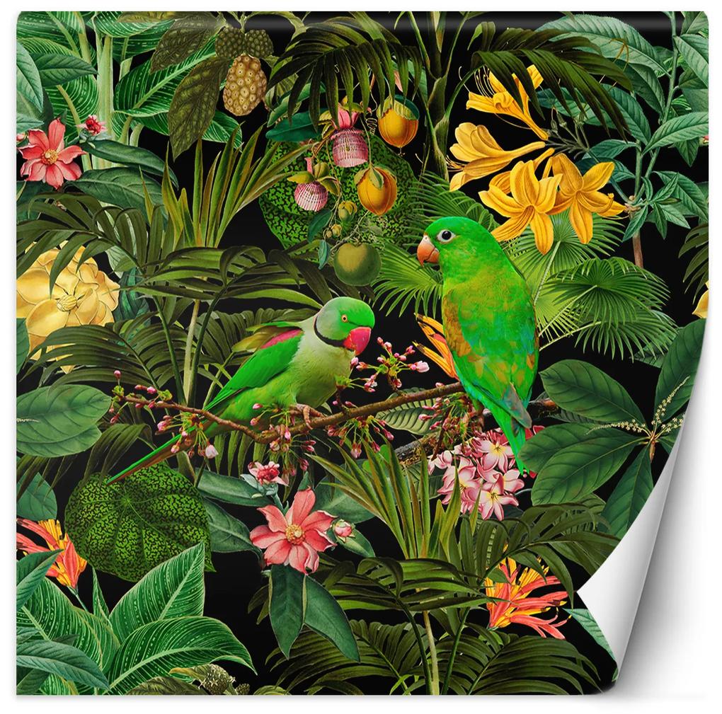 Gario Fototapeta Zelené listy ptáci příroda - Andrea Haase Materiál: Vliesová, Rozměry: 100 x 100 cm
