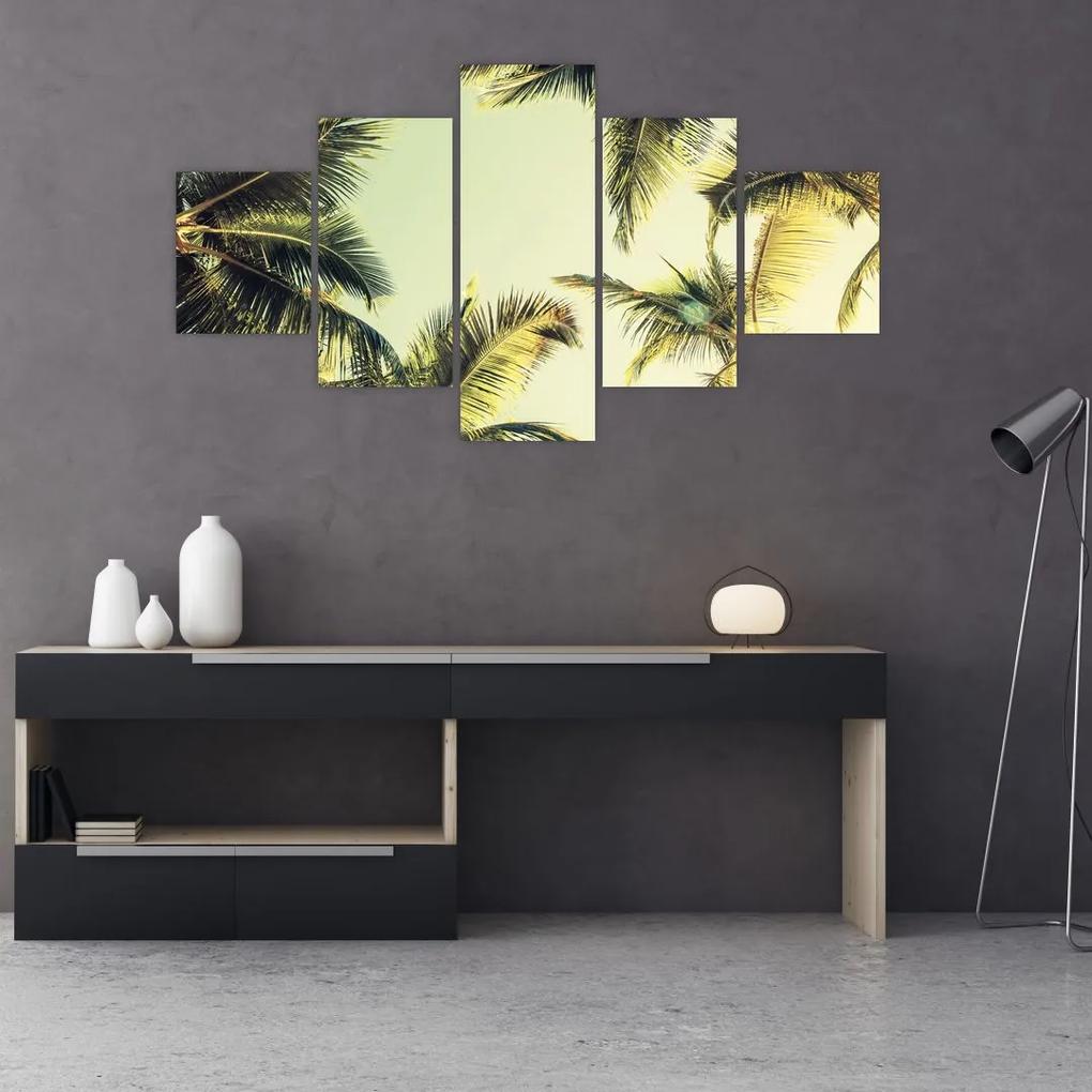 Obraz s kokosovými palmami (125x70 cm)