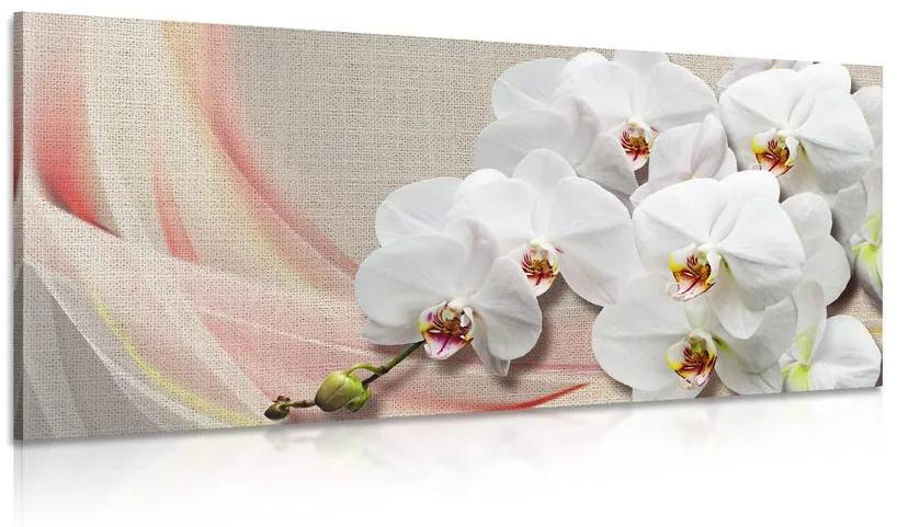 Obraz bílá orchidej na plátně
