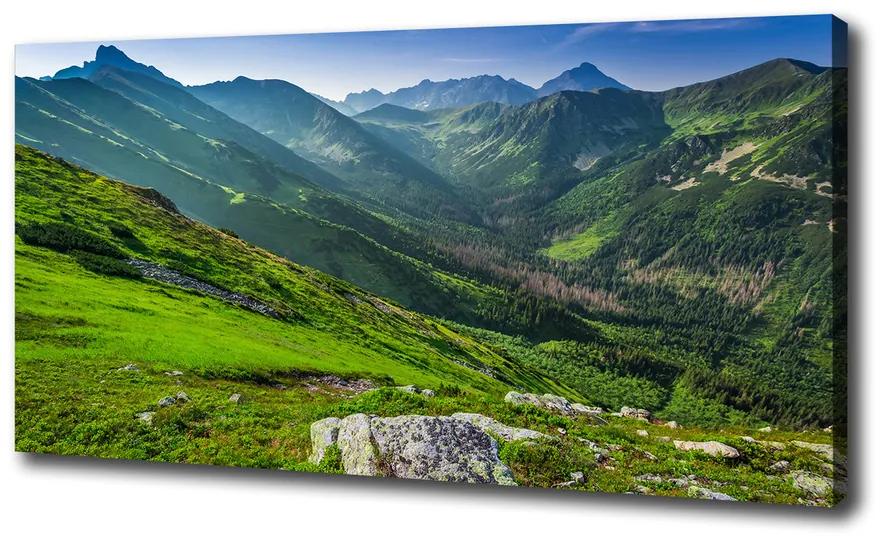 Wallmuralia Foto obraz na plátně Úsvit v horách 100x50 cm