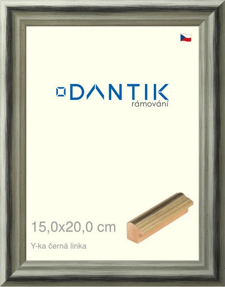 DANTIK rámeček 15x20 | Y-ka černá linka (Sklo Čiré)