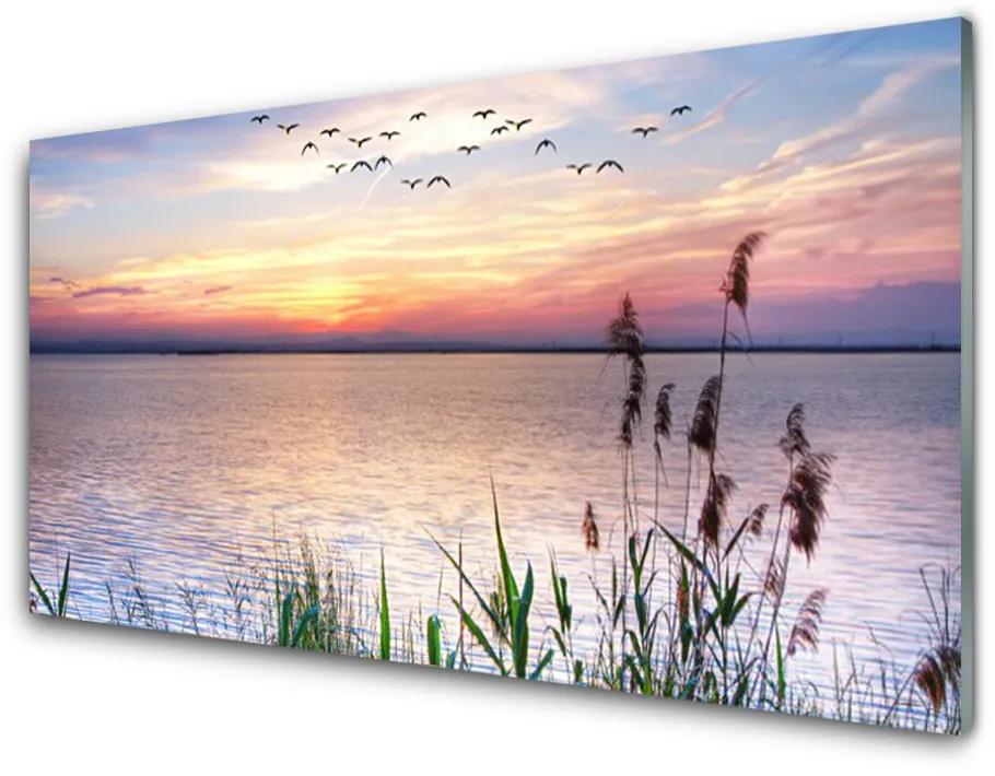 akrylový obraz Moře Ptáci Nebe Krajina 120x60 cm