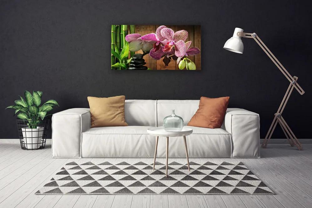 Obraz na plátně Kvetiny Bambus Rostlina 100x50 cm