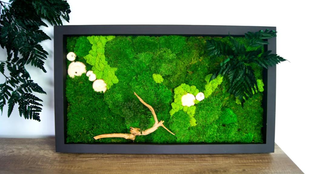 OznTo Obraz mechu a rostlin,3velikosti,3barvy Barva rámečku: Přírodní, Rozměr rámečku: 60x40cm