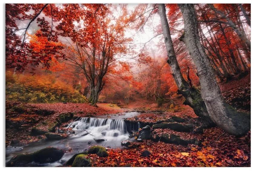 Malvis ® Obraz na plátně Podzimní les Velikost: 90x60 cm