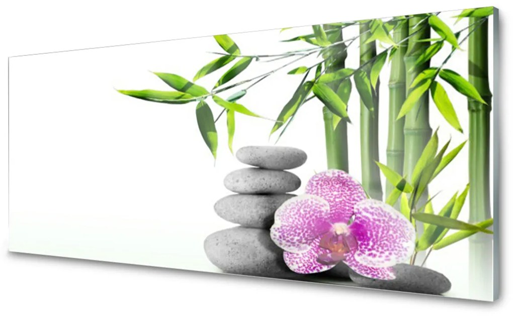 Plexisklo obraz Bambus Kameny Zen Umění
