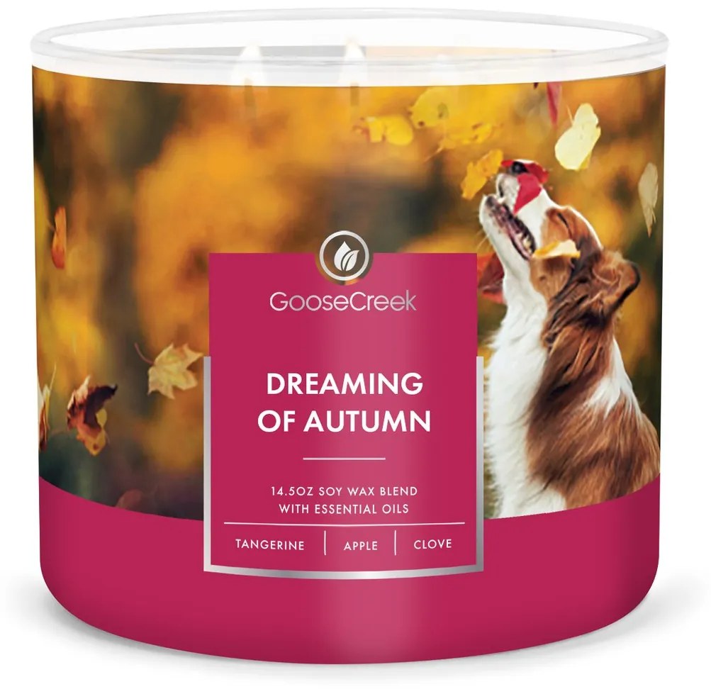 Goose Creek Candle svíčka Dreaming Of Autumn, 411 g