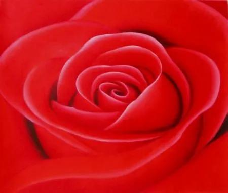 Květ růže - 50 x 60 cm