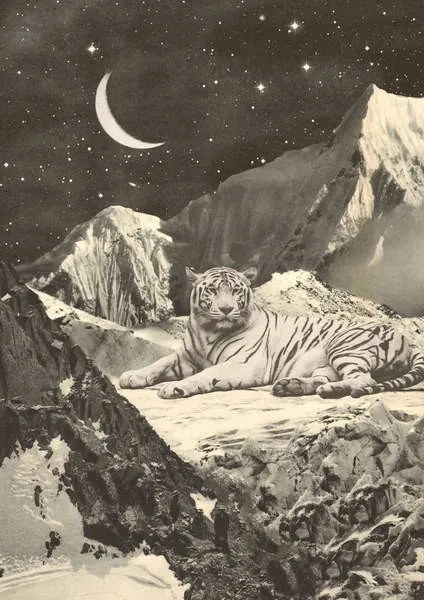 Bodart, Florent - Obraz, Reprodukce - Giant White Tiger in Mountains