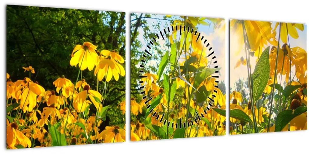 Obraz žlutých květin (s hodinami) (90x30 cm)