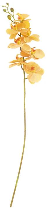 Villa Collection Umělá dekorace Styles Orchidej 102 cm Amber