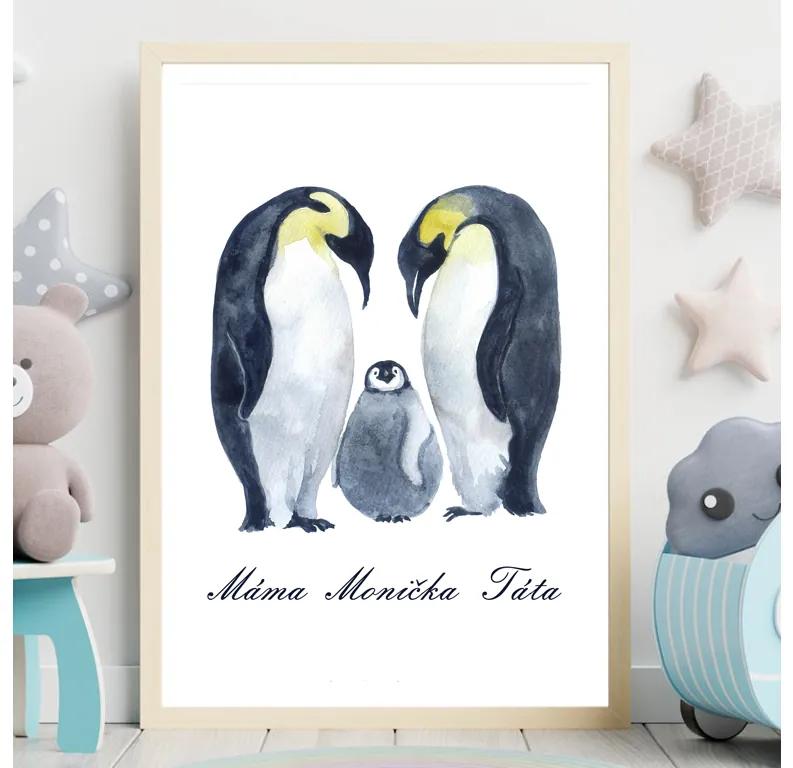 Pixada Plakát tučňáci Velikost: B2 - 50x70 cm, Volba rámu: bez rámu