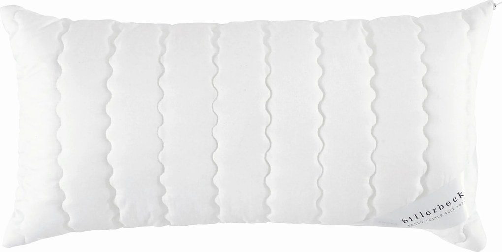 XXXLutz POLŠTÁŘ POD HLAVU, 40/80 cm Billerbeck - Polštáře pod hlavu - 003279011201