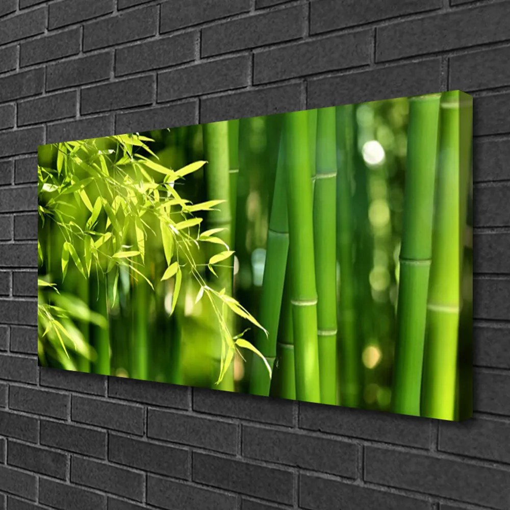 Obraz na plátně Bambus Listy Rostlina 120x60 cm