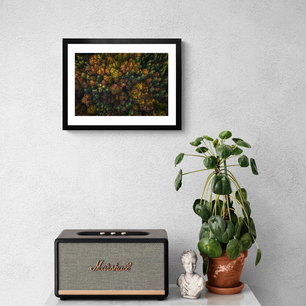 Vojta Herout | Nothing But A Forest Rám: Černý, Velikost: 20 x 30 cm
