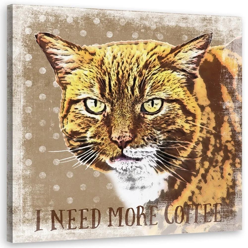 Gario Obraz na plátně Červená kočka - Andrea Haase Rozměry: 30 x 30 cm