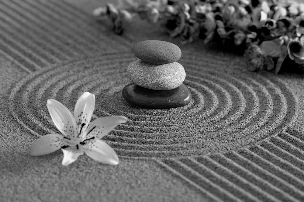 Tapeta kameny a květina v písku - 150x100 cm
