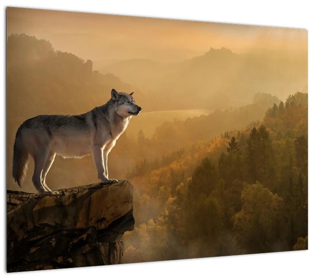 Skleněný obraz vlka na skále (70x50 cm)