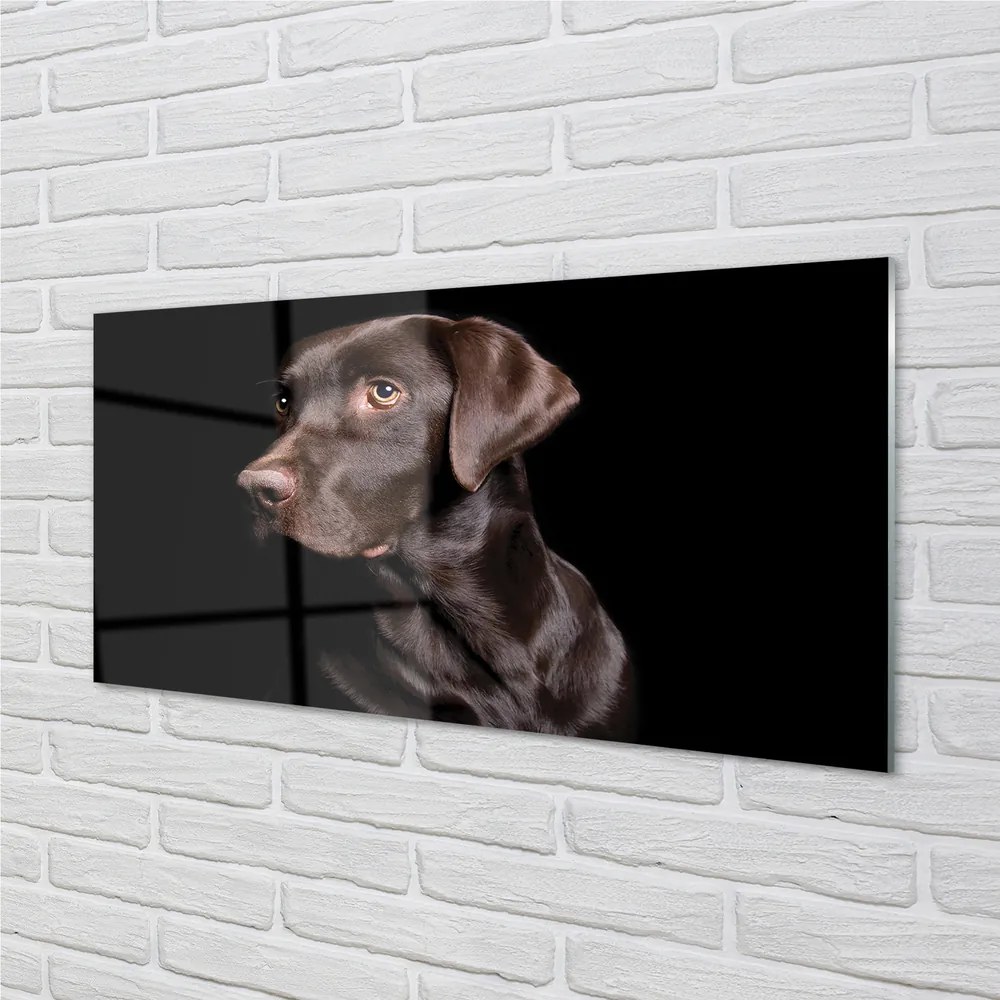 akrylový obraz hnědý pes 100x50 cm