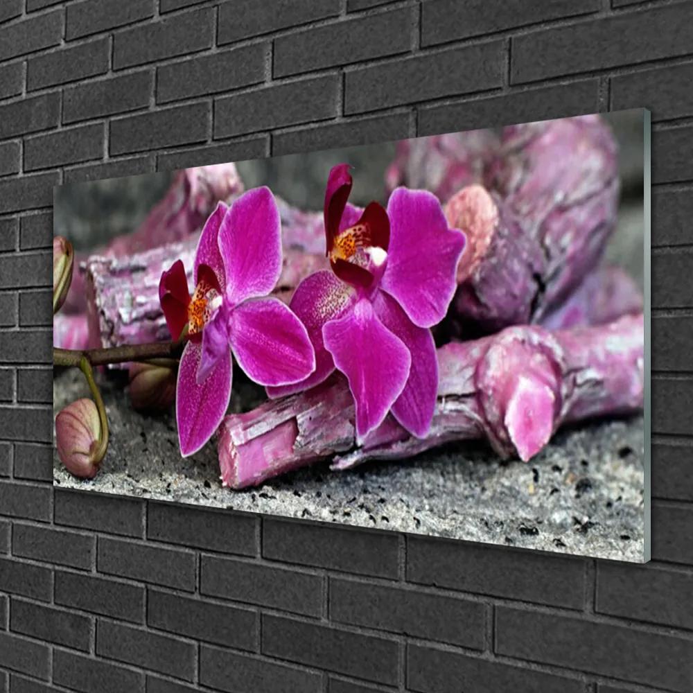 Obraz na skle Dříví Květiny Rostlina Příroda 140x70 cm