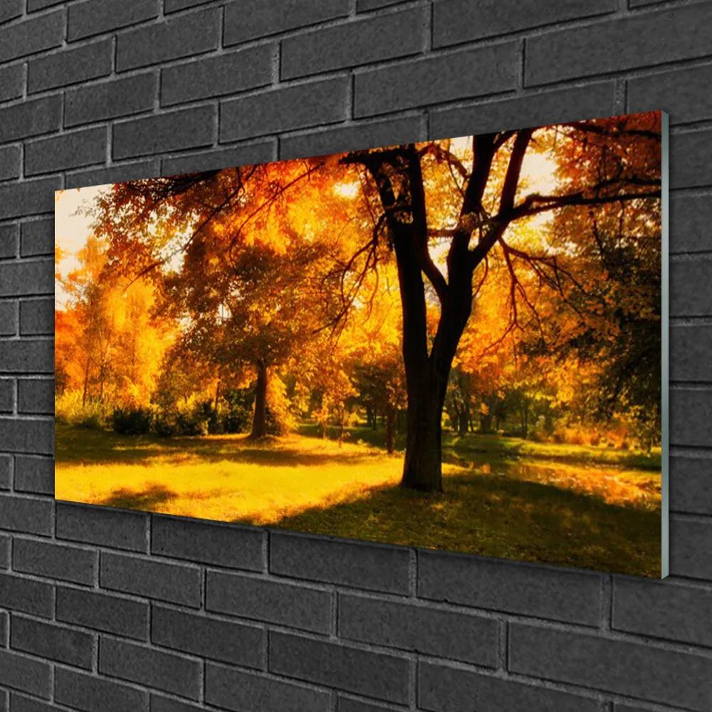 Obraz na skle Stromy Podzim Příroda 100x50 cm