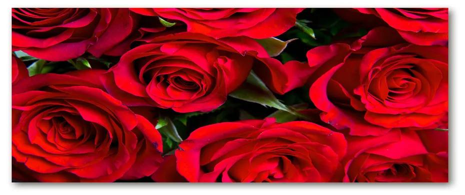 Wallmuralia Foto obraz akrylový na stěnu Červené růže 125x50 cm