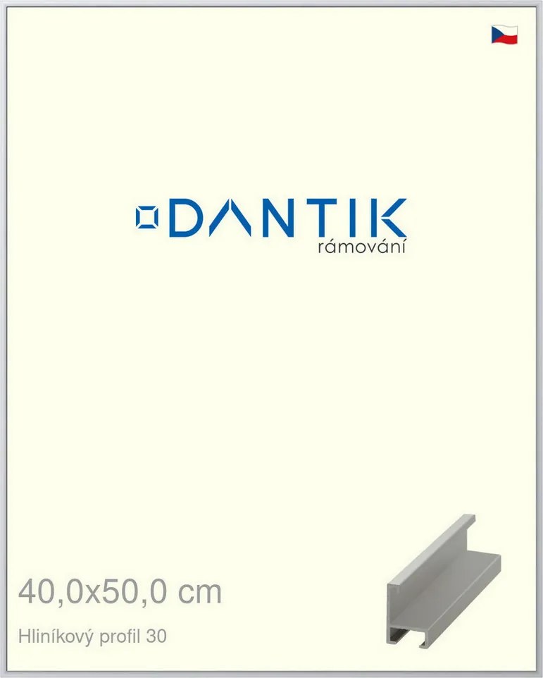 DANTIK rámeček 40x50 | ALU profil 6030 Stříbrná matná (Sklo Čiré)