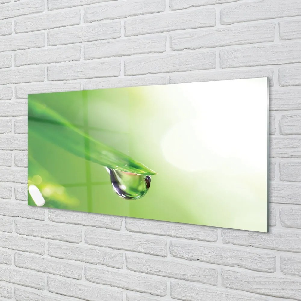 Obraz na skle Drop list slunce 120x60 cm