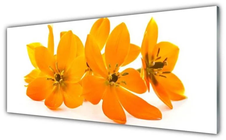 Obraz na skle - Oranžové květy