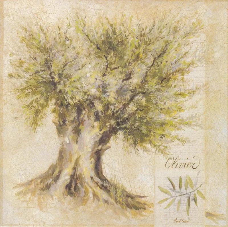 ART-STYLE Obrázek 30x30, olivovník v písmu, rám bílý s patinou