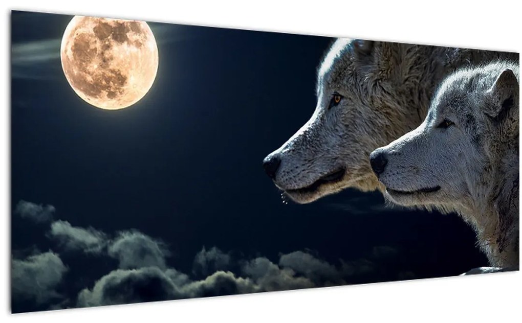 Obraz vlků vyjících na měsíc (100x40 cm), 40 dalších rozměrů
