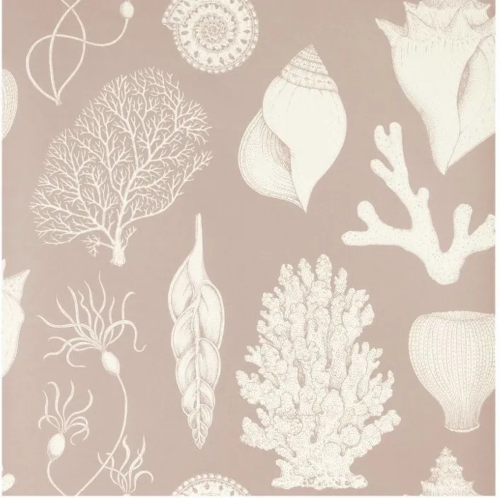 Ferm Living Tapeta Katie Scott Shells, dusty rose