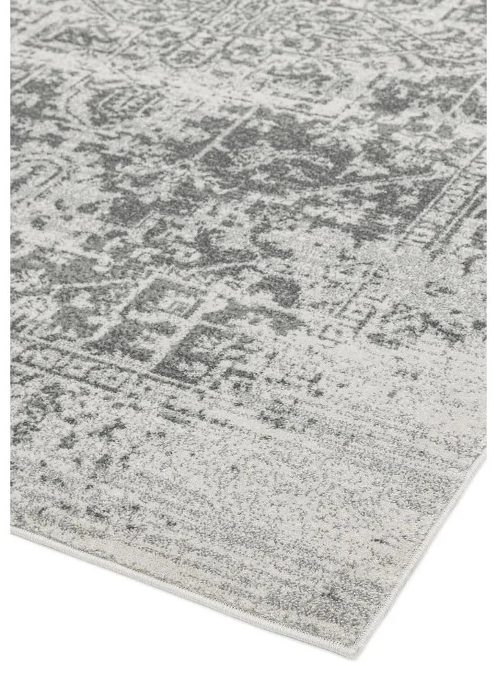 Šedý koberec 200x290 cm Nova – Asiatic Carpets