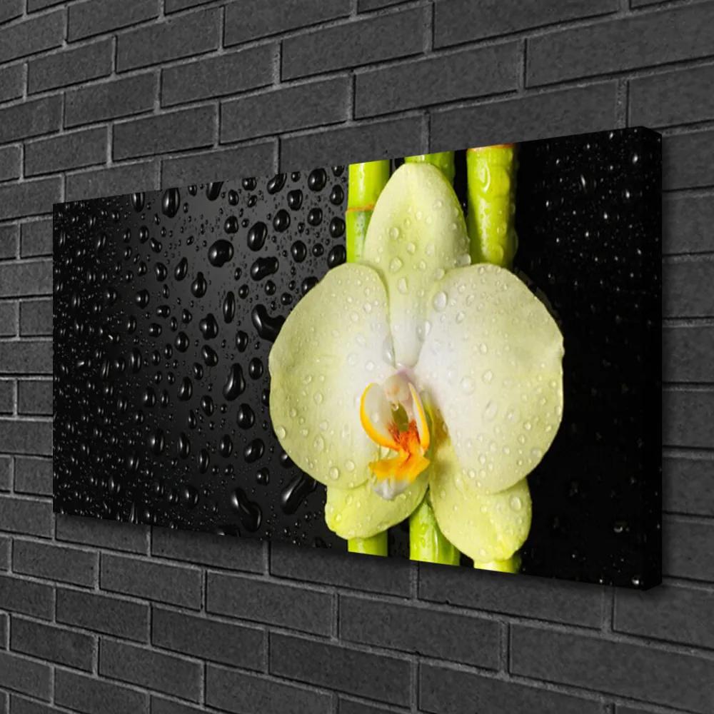 Obraz na plátně Bambus Květ Orchidej 140x70 cm