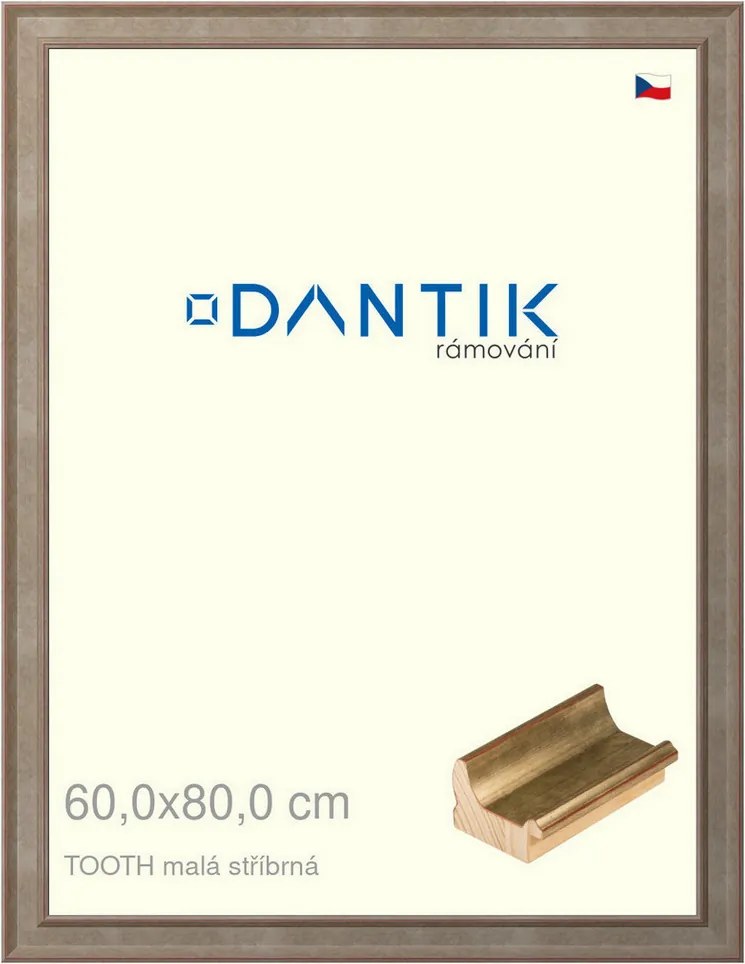 DANTIK rámeček 60x80 | TOOTH malá stříbrná (Plexi Čiré)