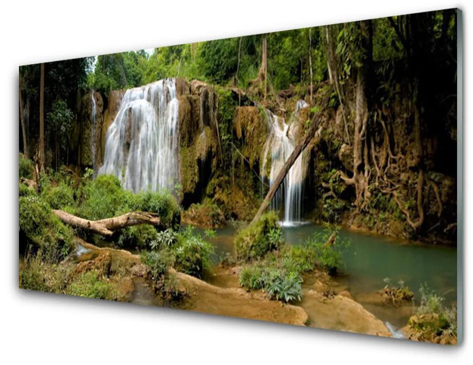 akrylový obraz Vodopád Řeka Les Příroda 100x50 cm