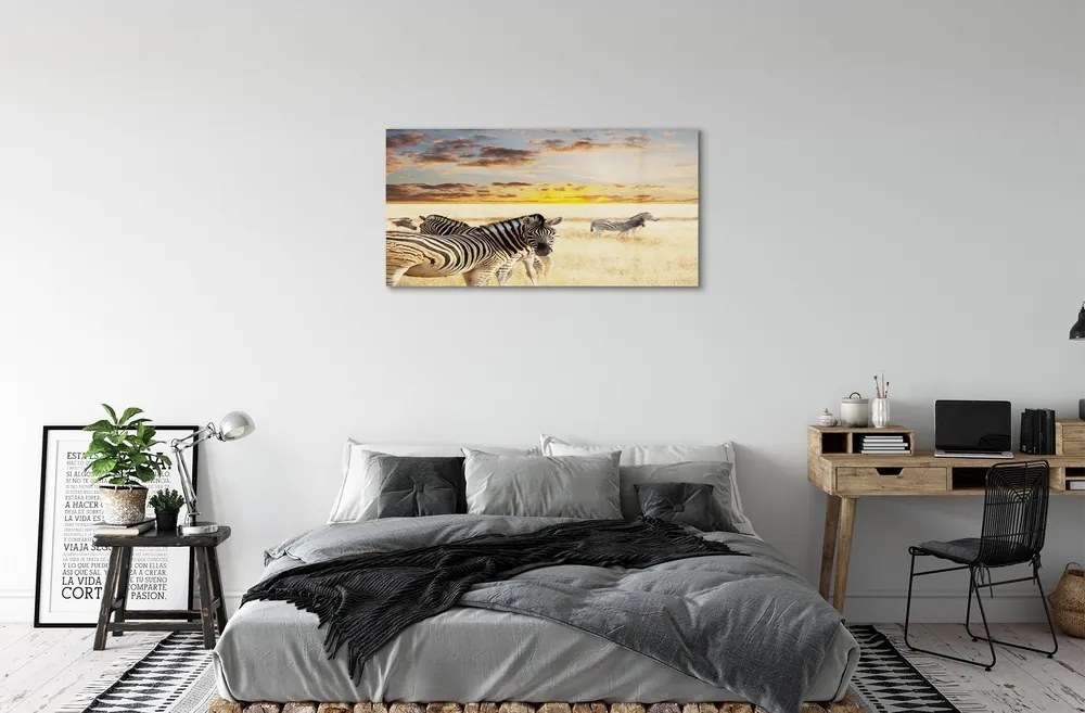 Obraz na skle Zebry pole sunset 100x50 cm