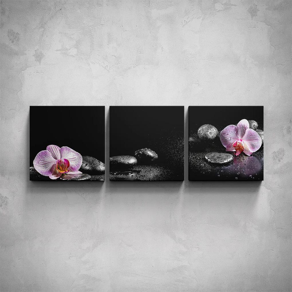 3-dílný obraz - Orchidej v černé - PopyDesign
