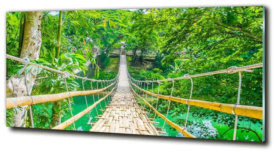Wallmuralia Fotoobraz na skle Most bambusový les 125x50 cm