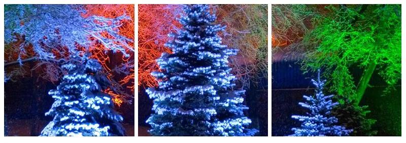 Barevný obraz zasněženého stromu (90x30 cm), 40 dalších rozměrů