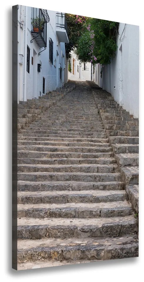 Wallmuralia Foto obraz na plátně Kamenné schody 50x100 cm