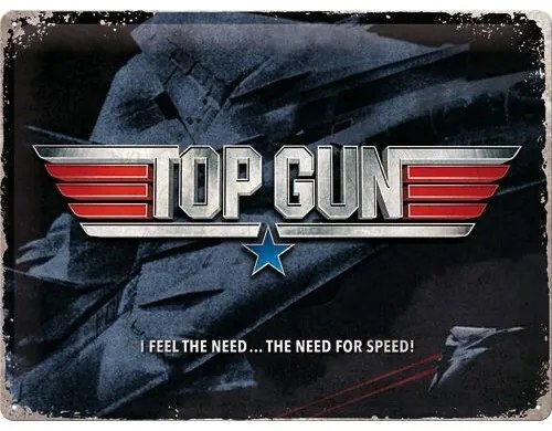 Plechová cedule Top Gun - The Need for Speed - Tomcat, (40 x 30 cm)