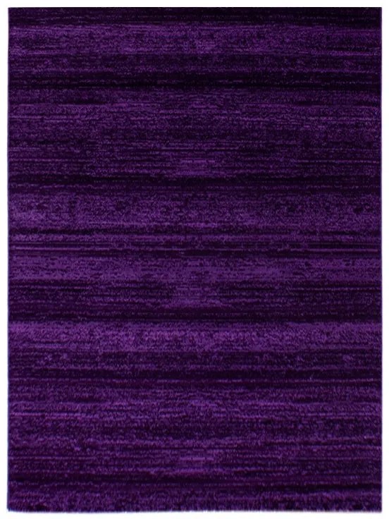 Ayyildiz koberce AKCE: 120x170 cm Kusový koberec Plus 8000 lila - 120x170 cm