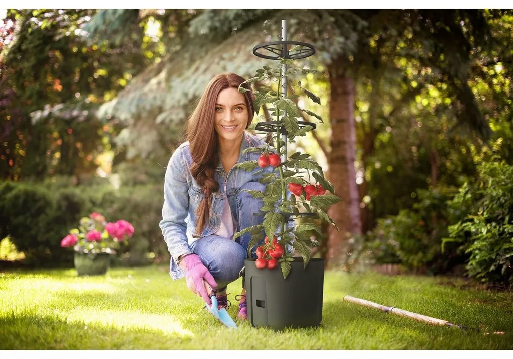 Gardenico Pěstební nádoba na rajčata písková, pr. 29 cm