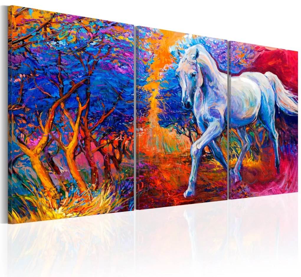 Obraz malovaný kůň + háčky a hřebíčky ZDARMA Velikost (šířka x výška): 120x60 cm