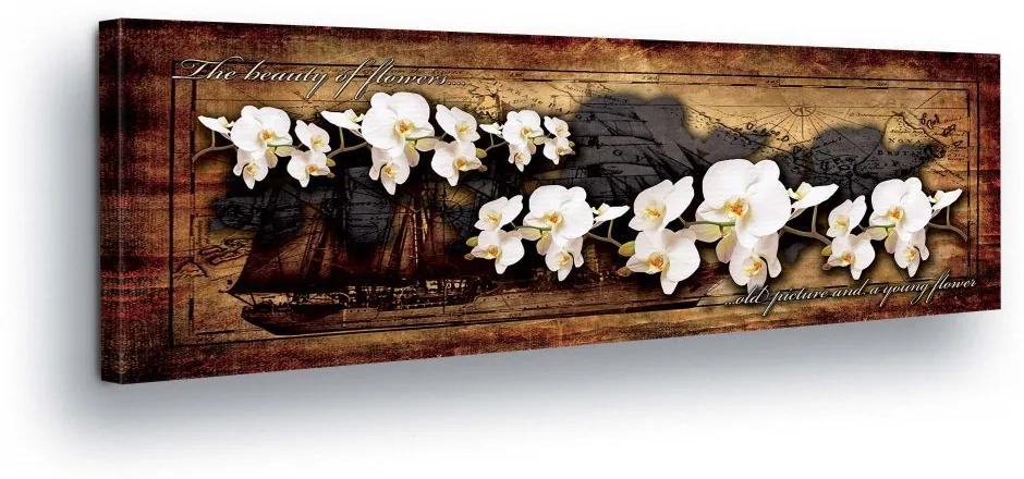 GLIX Obraz na plátně - Bílá Květinová Dekorace v Hnědém Pozadí II 45x145 cm